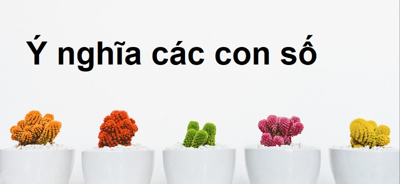 23 ý nghĩa các con số ở nhiều khía cạnh khác nhau