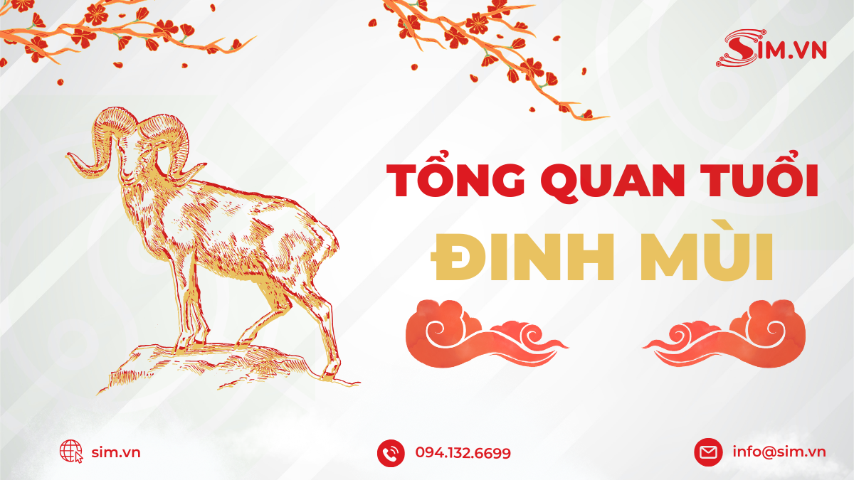 4 cách chọn sim hợp tuổi 1967 Đinh Mùi chính xác nhất